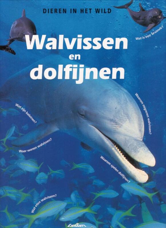 Mijn eerste boek over walvissen en dolfijnen | Tweedehands | Boekenbalie