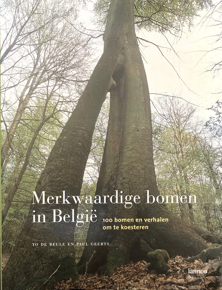 Merkwaardige bomen in België | Tweedehands | Boekenbalie